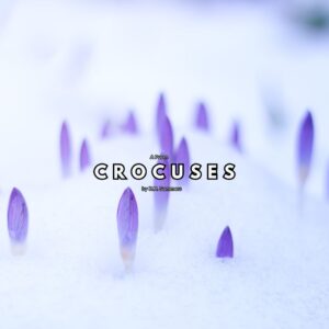 50 Cyberpunk Writing Prompts - EveryWriter